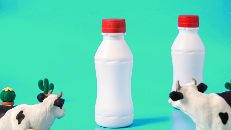 Epsilyte: Advancing Bio-Degradability in Packaging – CME STEM